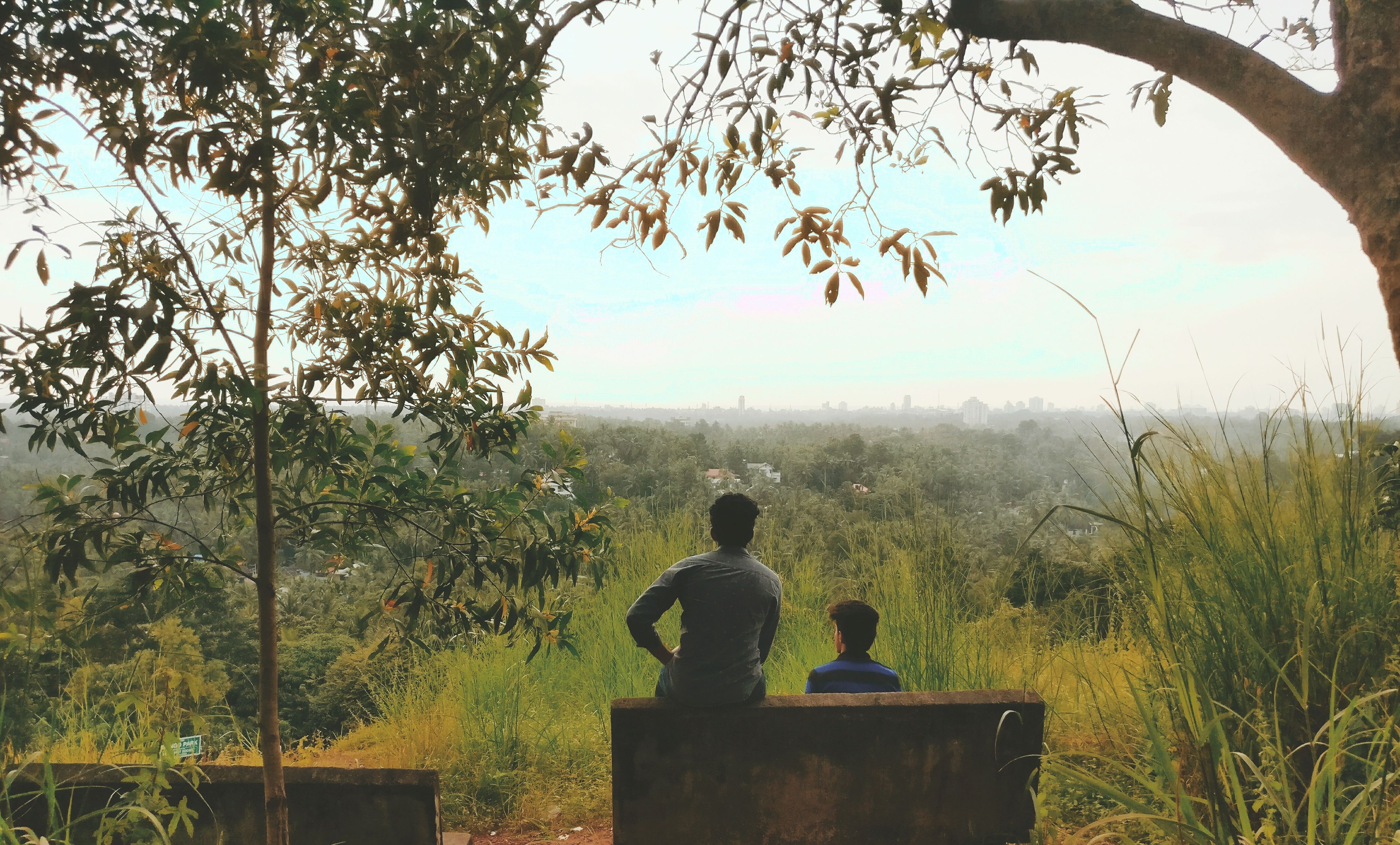 AED 268 Cheap Flights from Dubai to Kozhikode (DXB - CCJ) | KAYAK